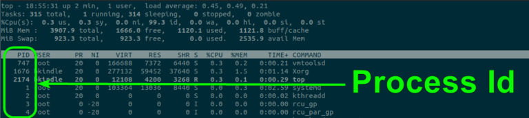 Master Linux Kill Process Using ps, pgrep, pkill and More