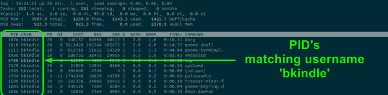 Master Linux Kill Process Using ps, pgrep, pkill and More