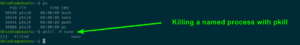 Master Linux Kill Process Using ps, pgrep, pkill and More