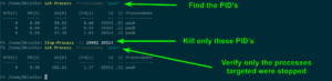 Master Linux Kill Process Using ps, pgrep, pkill and More