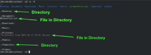 Linux Directory Commands : A Complete Guide