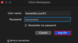 Launching Citrix Workspace for Mac : Step by Step Tutorial