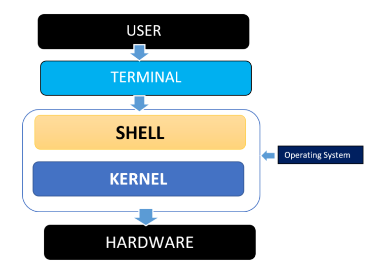 your-one-and-only-linux-shell-scripting-tutorial