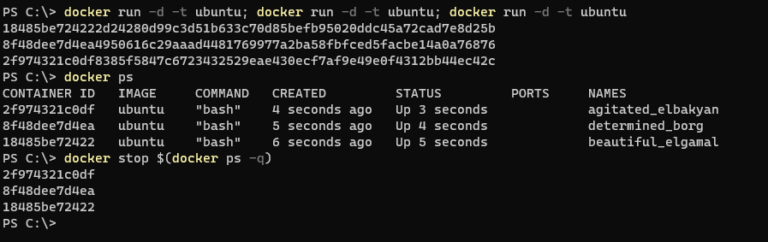 Use Docker Stop Containers Without Screwing Things Up!
