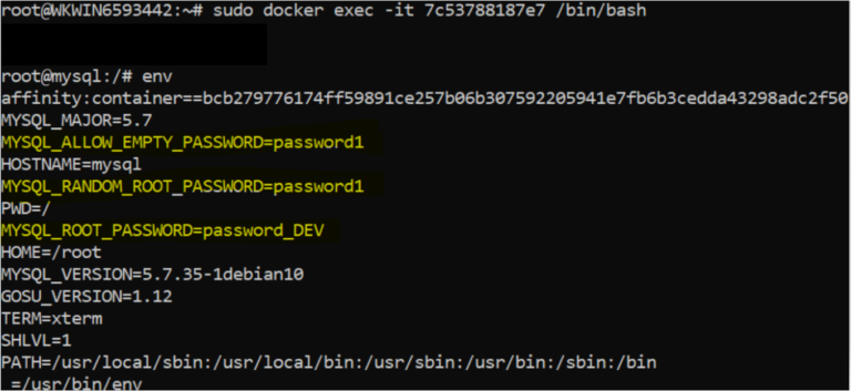 Taking Advantage Of The Docker Compose Environment Variables
