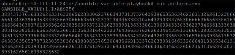 How to Leverage Ansible Variables in Roles and Playbooks