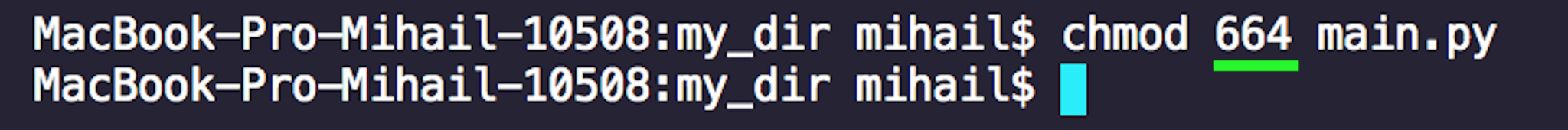 Manage Directory And File Permissions With Chmod Recursive