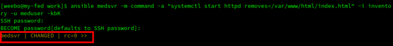 Ansible Command Module Enabling Execution Of Directives