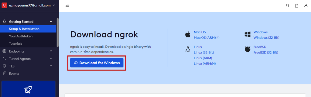 The Ngrok Blueprint: Perfecting Local Development Setup