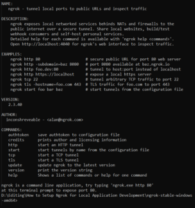 The Ngrok Blueprint: Perfecting Local Development Setup