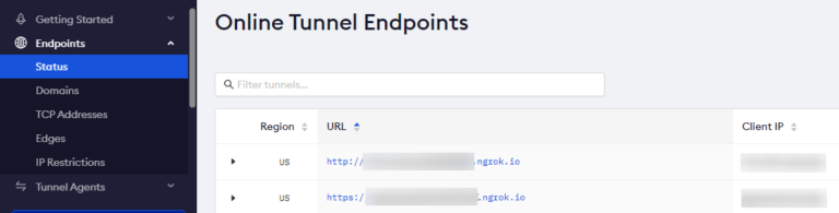 The Ngrok Blueprint: Perfecting Local Development Setup