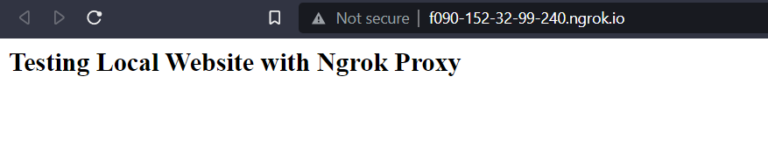The Ngrok Blueprint: Perfecting Local Development Setup