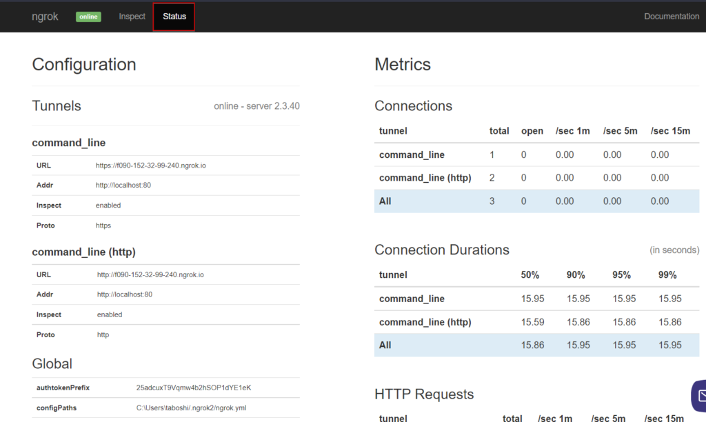 The Ngrok Blueprint: Perfecting Local Development Setup
