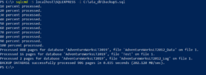 How to Create a Handy SQL Server Backup Database Script