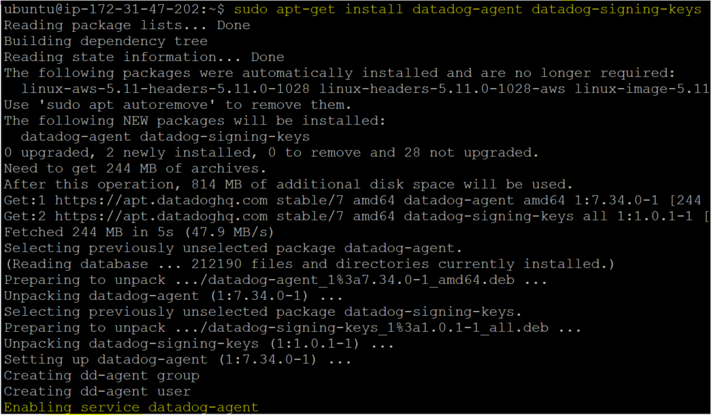 Getting Started with the Datadog Agent on Ubuntu Linux