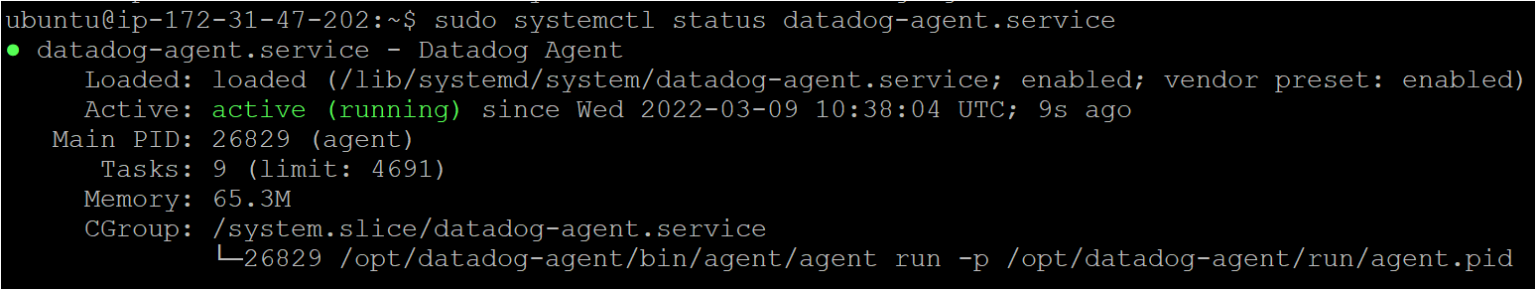 Getting Started with the Datadog Agent on Ubuntu Linux