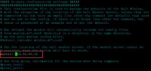 Epic SaltStack Examples to Ease Up Infrastructure Management