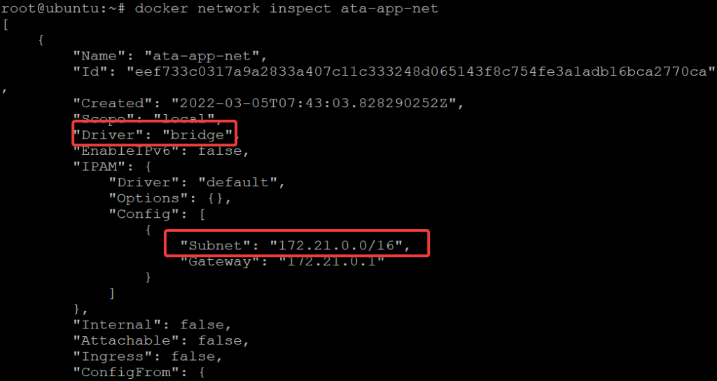 Up your DevOps Game With These Docker Run Example