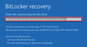 Liberate Your Date and Learn How to Bypass Bitlocker