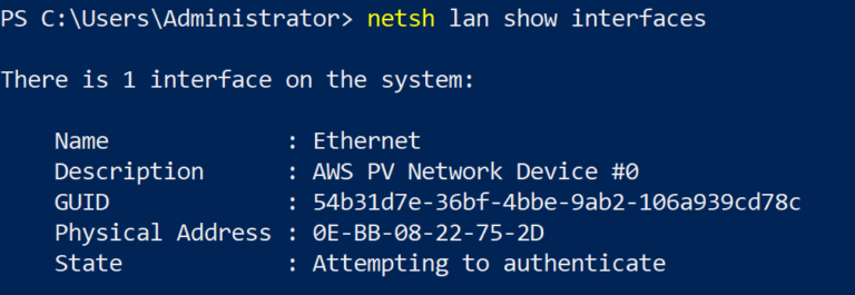 The Conclusive Netsh : Ultimate Guide