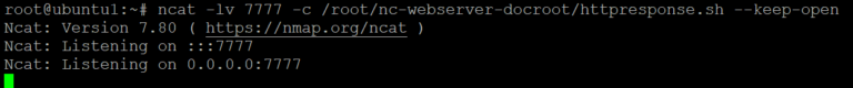 How To Use Netcat And Level Up Your Networking Skills