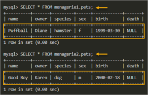 How To Back-Up & Restore Databases via the Mysqldump Command