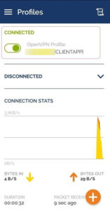 Fundamentals of Running OpenVPN in Docker on Ubuntu