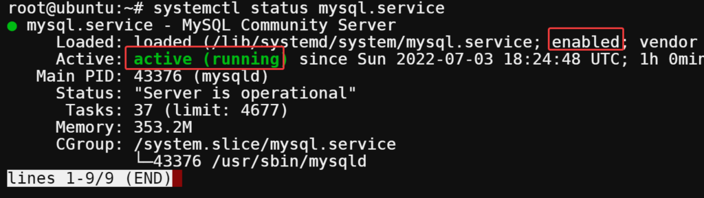 Getting Started With Mysql Workbench on Ubuntu Linux