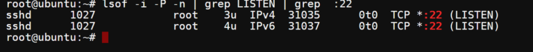 All the Ways to Check If a Port is Open in Linux