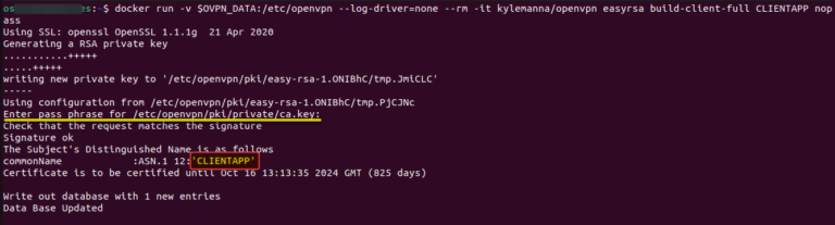 Fundamentals of Running OpenVPN in Docker on Ubuntu