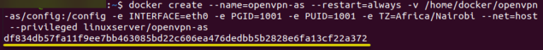 Fundamentals of Running OpenVPN in Docker on Ubuntu