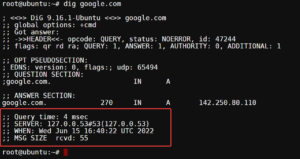 Linux Dig for Network Admins: Practical Guide with Examples