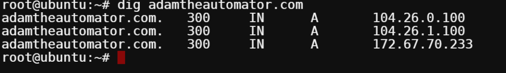 Linux Dig for Network Admins: Practical Guide with Examples