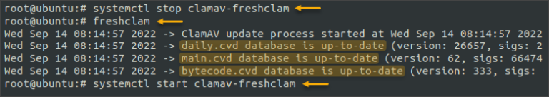 How to Install ClamAV on Ubuntu Linux