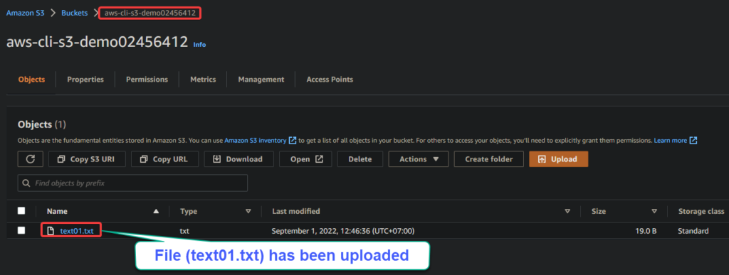 How To Use and Install AWS CLI On Windows (The Perfect Way!)