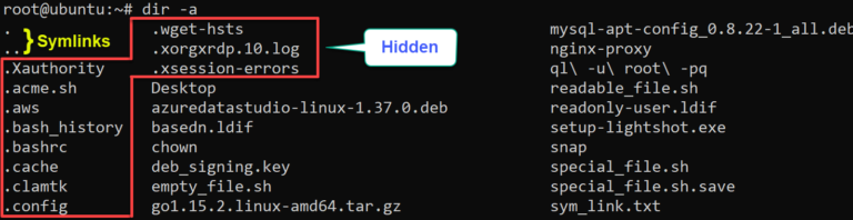 Learning the dir Command in Linux Through Examples