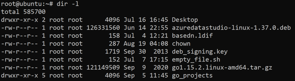 Learning the dir Command in Linux Through Examples