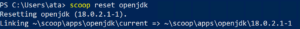 How to Install and Use the Scoop Windows Package Manager