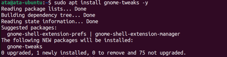 Tweaktools : How To Install and Use Gnome Tweak Tools