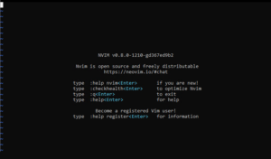 How to Install Neovim (NVIM) on Windows