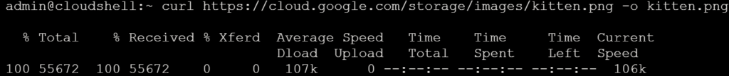 Learning The Gsutil Command Through Examples