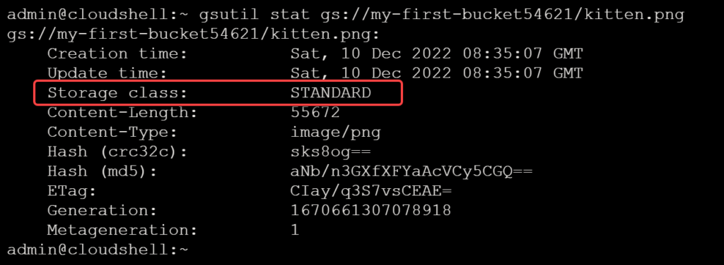 Learning the gsutil Command Through Examples