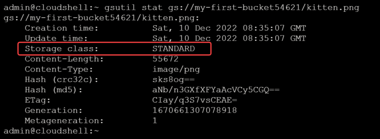 Learning the gsutil Command Through Examples