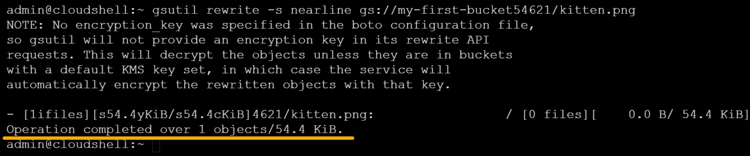 Learning the gsutil Command Through Examples
