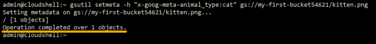 Learning The Gsutil Command Through Examples