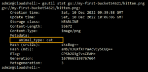 Learning the gsutil Command Through Examples