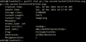 Learning the gsutil Command Through Examples