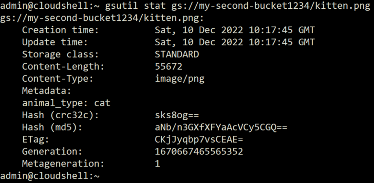 Learning The Gsutil Command Through Examples
