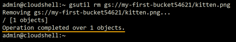 Learning the gsutil Command Through Examples