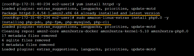 How to Host A Website on AWS EC2